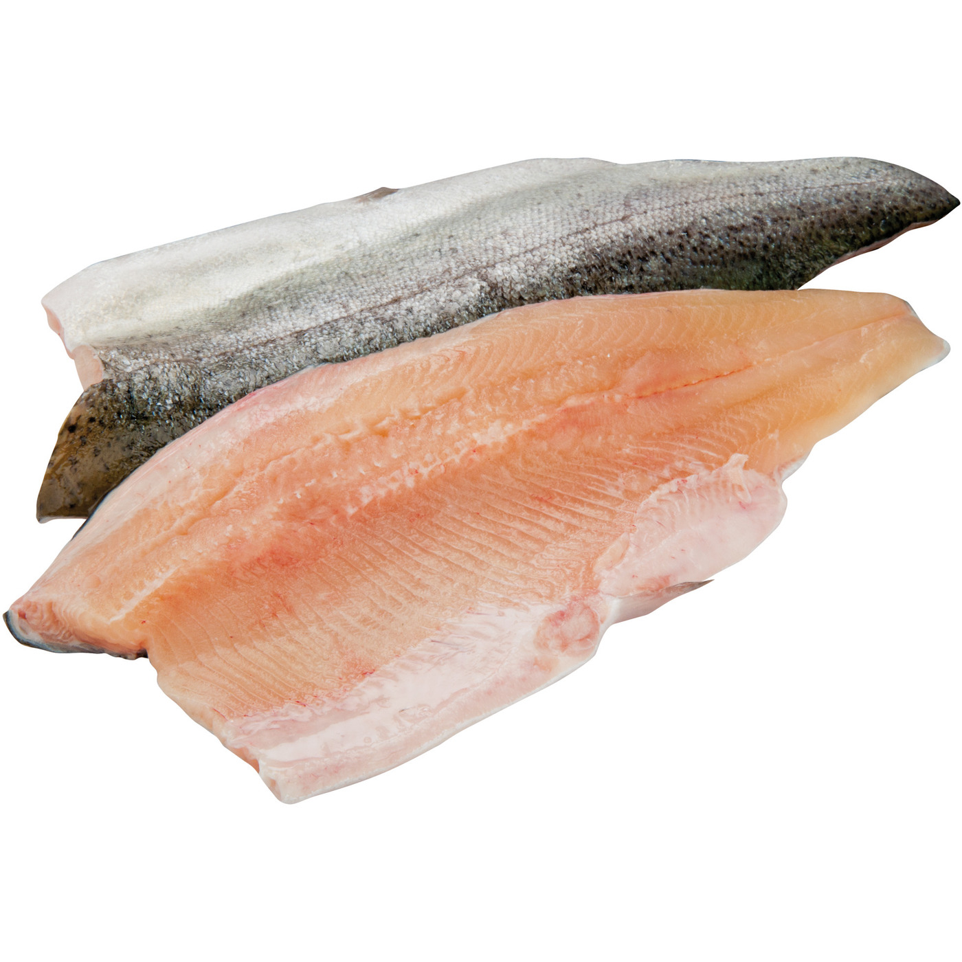 Transgourmet Österreich - Bachforellenfilet 80-150g in Aquakultur ...