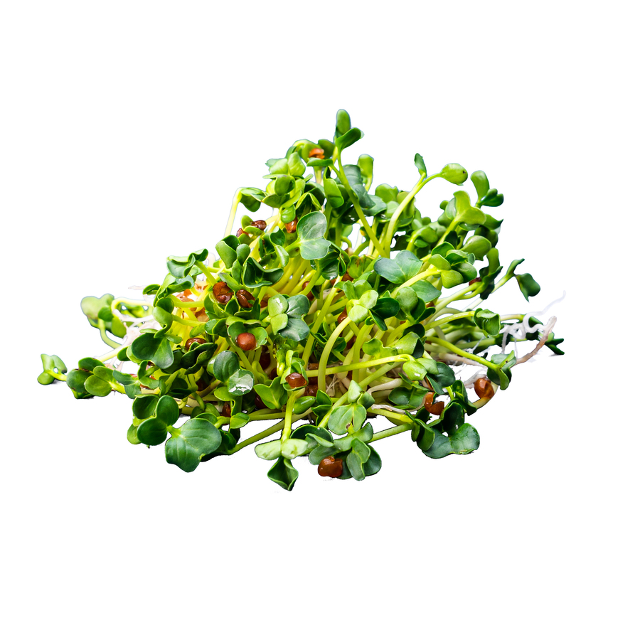 Reust Online-Shop - ESPRO Sprossen Greenpower 250 g