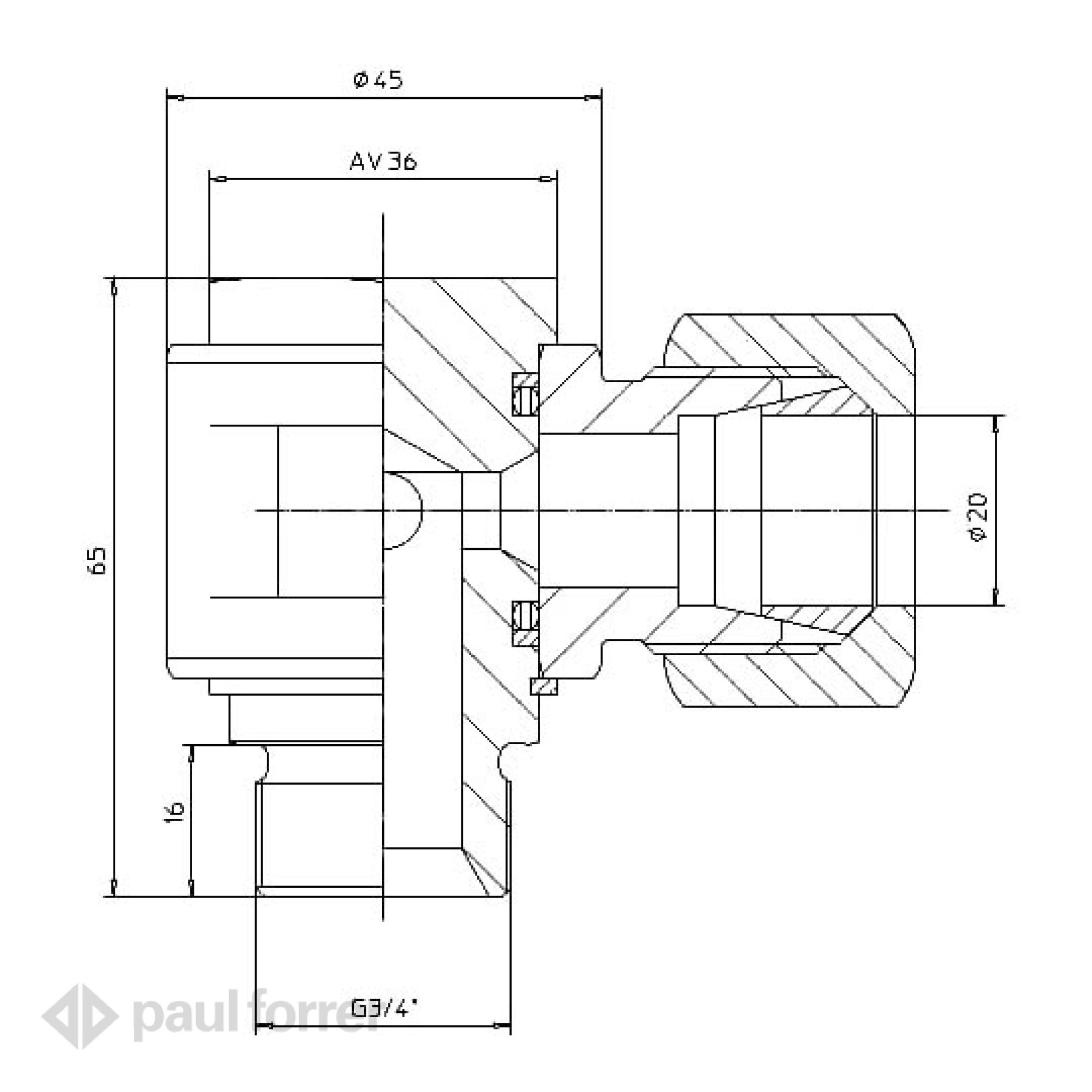 Paul Forrer AG - Drehbarer Winkelanschluss G3/4" auf 20S