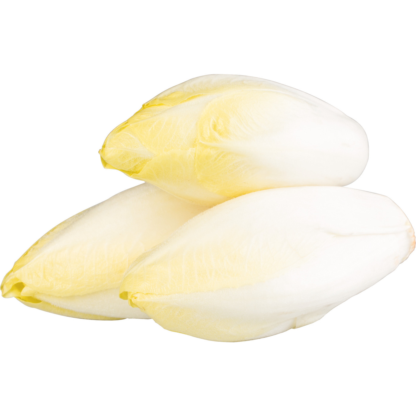 Transgourmet Österreich - Chicoree KL.1 500 g