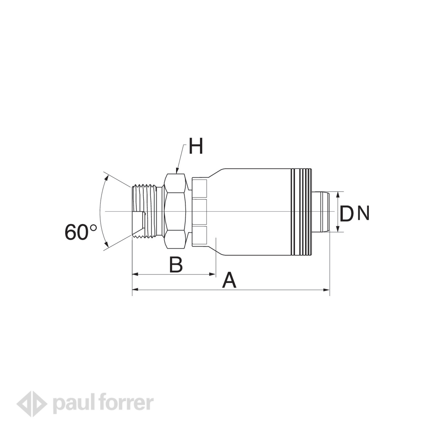 Paul Forrer AG - GS Pressarmaturen BSP-Gewinde - zylindrisch - 60 ...