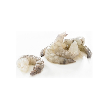 MUNDO AG - Silver Star Riesen Crevetten Black Tiger