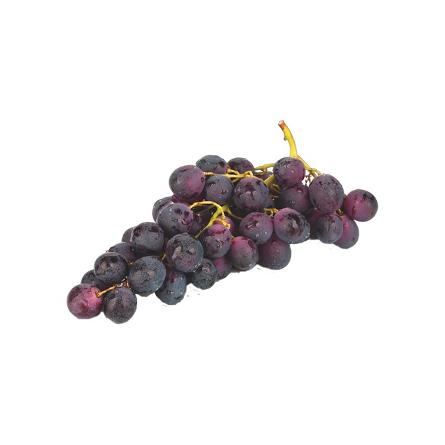 Transgourmet Österreich - Trauben blau KL.1 ca. 1 kg