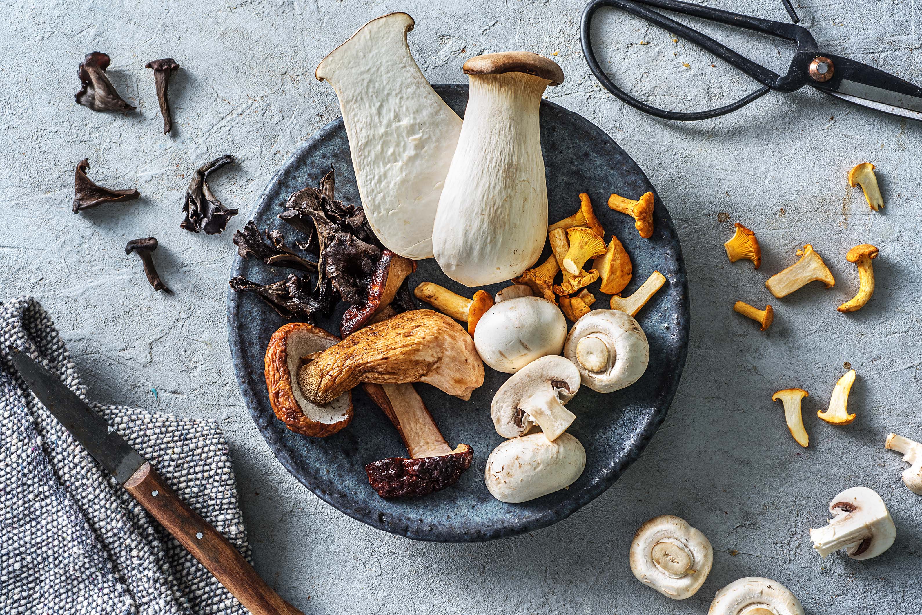 Bianchi - Unser Sortiment