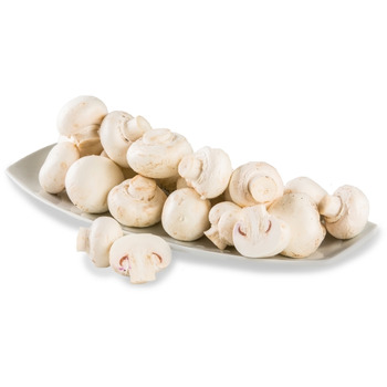 WEDL - BESTELLPORTAL - Champignon 4 x 500g Klasse I | Polen