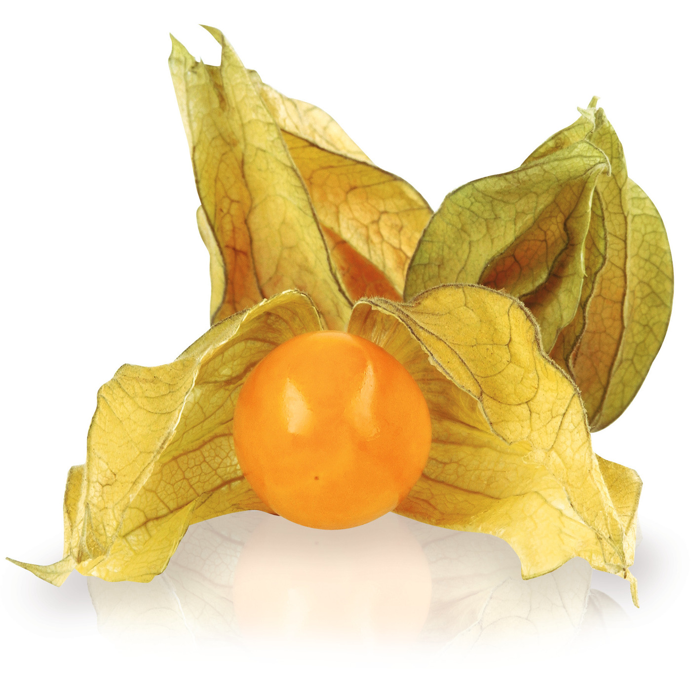 Transgourmet Österreich - Physalis KL.1 100 g